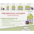 MMR1G MMR Professional Strength Instant Mold and Mildew Stain Remover 1 ...