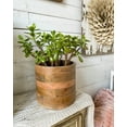 Large Natural Mango Wood Indoor Planter Cachepot, 9" Diameter & 8.5 ...