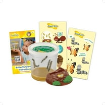 Insect Lore Cup Of Caterpillars™ - Walmart.com