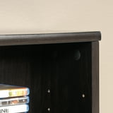 Sauder O'Sullivan Media Entertainment DVD Cabinet, Multimedia Storage ...