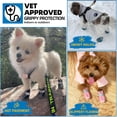 Dog Shoes Black #2 (Width 1.29 inch) for 6.6-11.0 lbs Paw Protector for ...