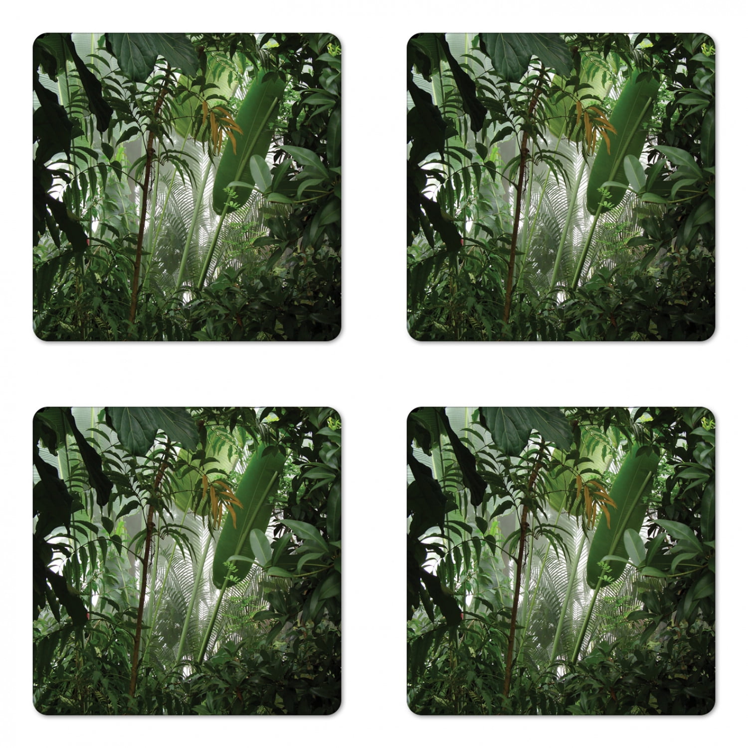 Rainforest Coaster Set of 4, Tropical Rainforest Preservation Humidity ...
