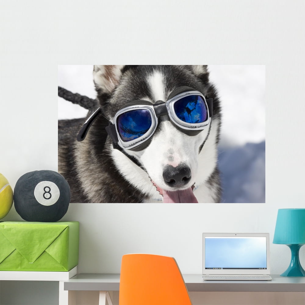 Husky Wearing Sunglasses Protection Wall Mural Decal Sticker ...