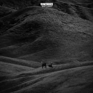 NF - 'Hope' Album - Limited Edition White Vinyl 2LP - Walmart.com