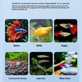 YIGSECU Compacts Clear Floating Fish Breeding Container For Marine Life ...