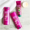 Garnier Fructis Plush Fortifying Shampoo With Pomegranate Volumizing