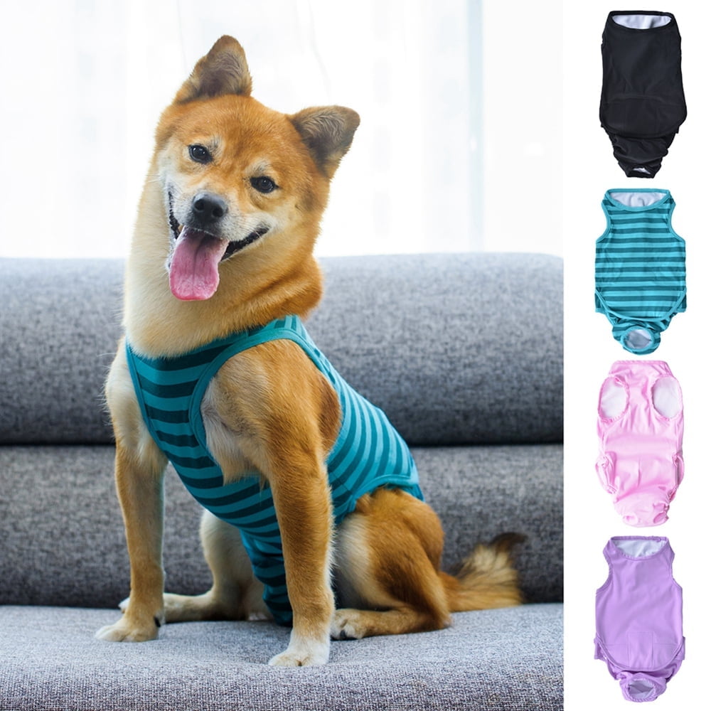 Recovery Suit for Dogs - Protects Wounds Sutures Skin Conditions Light ...