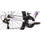 26" Genesis Whirlwind Mountain Bike, 26" Wheels, Adults Age 14+, Gray ...