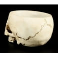 PTC 6.75 Inch Decorative Ceramic Open Skeleton Skull Serving Bowl ...
