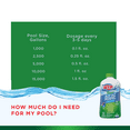 HTH Super Algae Guard 5-in-1, Kills and Prevents Algae in Pools, 1 qt ...