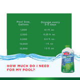HTH Super Algae Guard 5-in-1, Kills and Prevents Algae in Pools, 1 qt ...