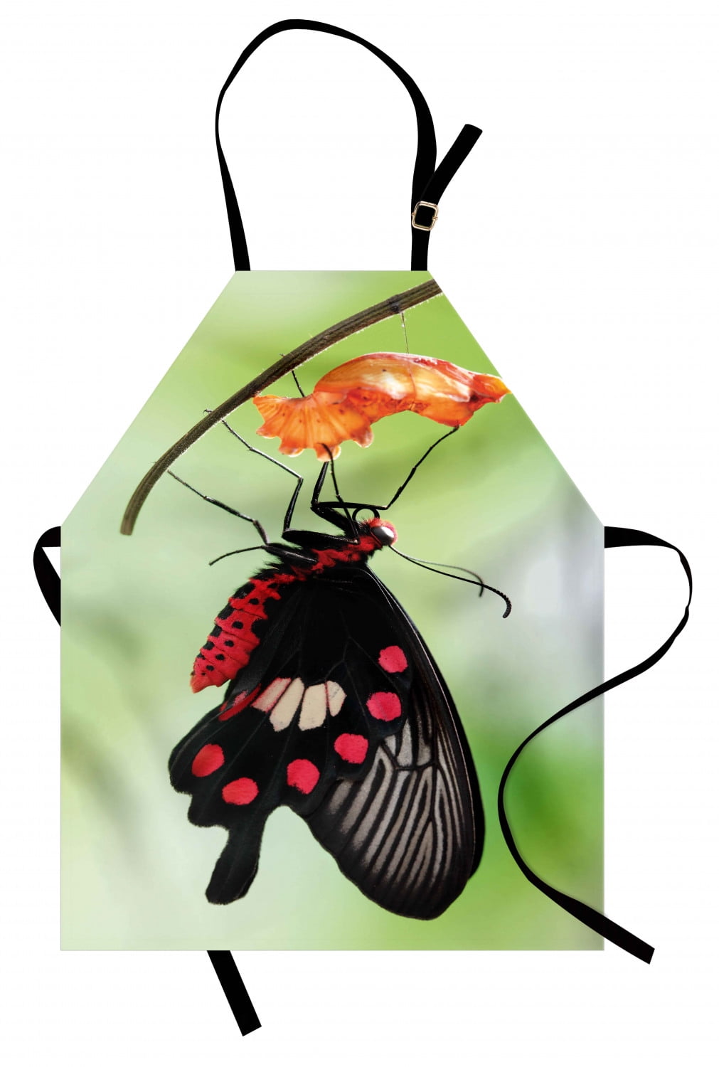 Swallowtail Butterfly Apron Amazing Moment Coming Out of Cocoon ...