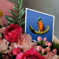 3drose, Stunning Brightly Colored River Bird Vector Art, 6 Greeting ...