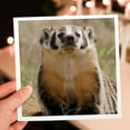 3drose, American Badger Portrait, 12 Greeting Cards with Envelopes ...