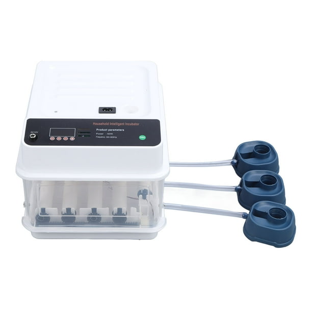 LED Egg IncubatorEgg Incubator Adjustable Automatic Adjustable Egg ...