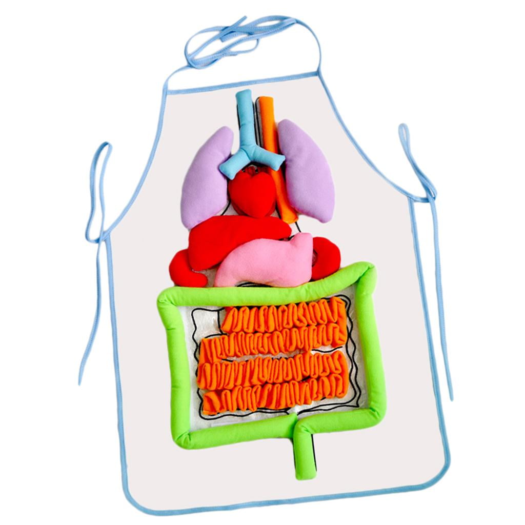 Click here for Luzkey Apron With Body Model Organ Model Children... prices