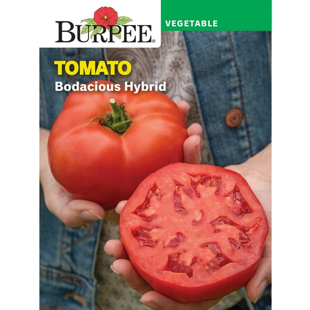 Burpee Bodacious Hybrid Tomato Vegetable Seed, 1-Pack - Walmart.com Burpee Bodacious Hybrid Tomato Vegetable Seed, 1-Pack - Walmart.com