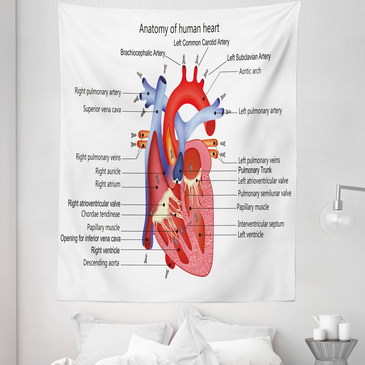 Science Tapestry, Structure of the Heart Human Body Anatomy Organ Veins ...