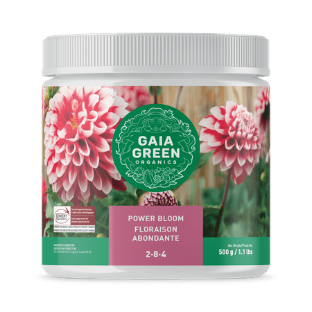 Power Bloom 500g | Walmart Canada