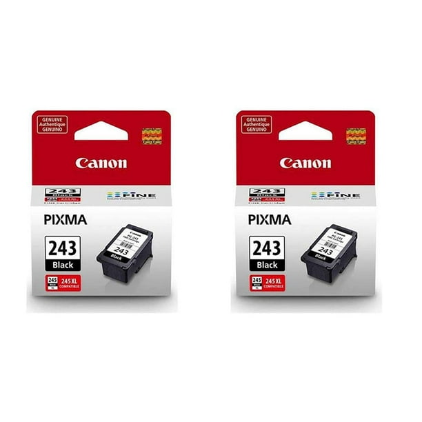 Canon 2 Pack - PG-243 Black Ink Cartridge - Walmart.com