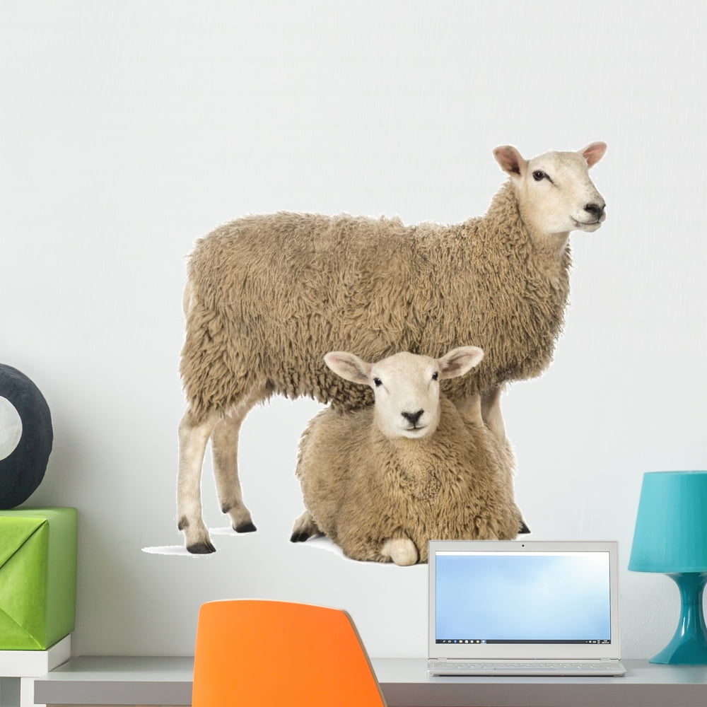 Sheep Standing over Another Wall Decal by Wallmonkeys Peel and Stick ...