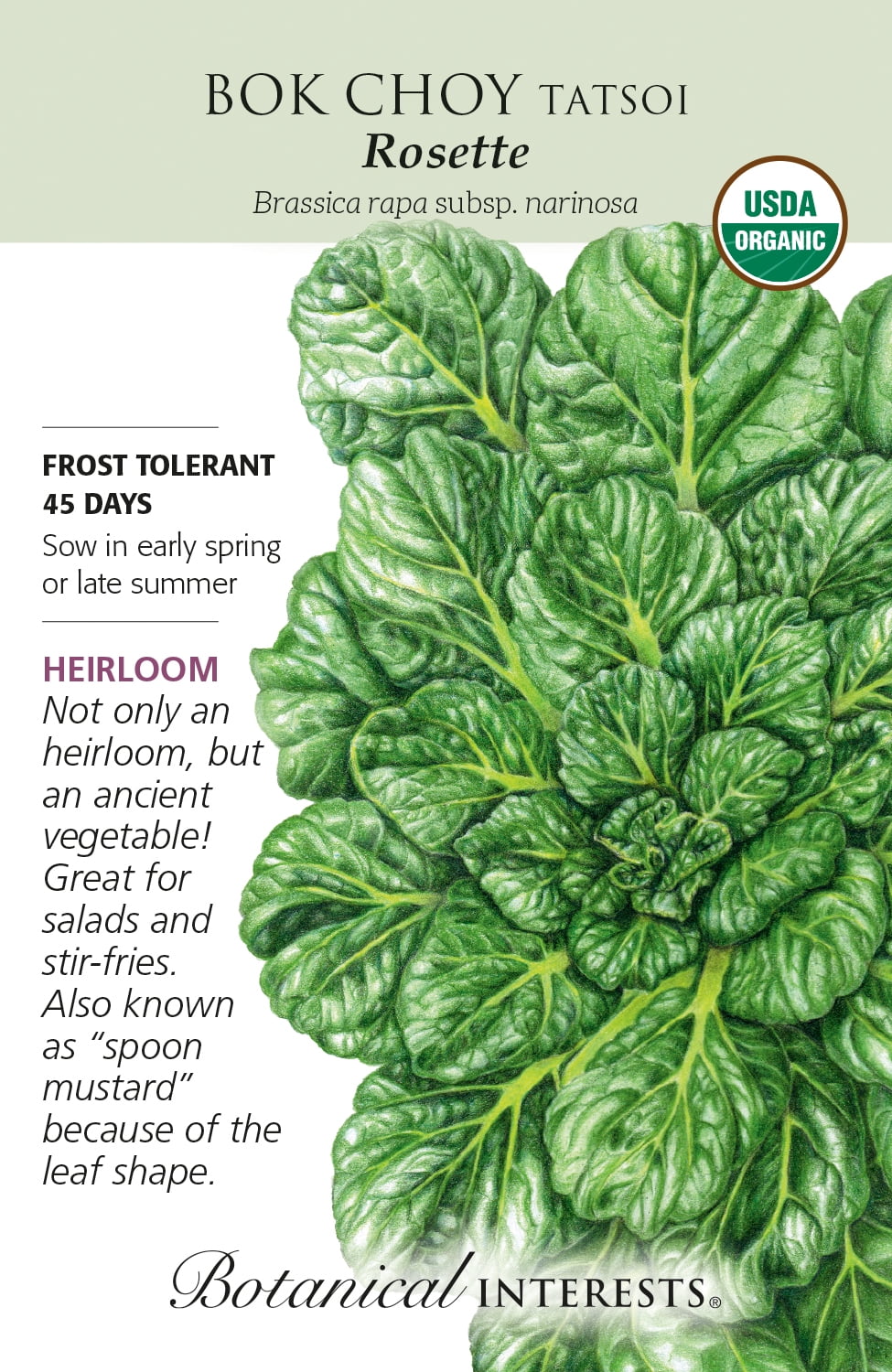 Organic Rosette Tatsoi Bok Choy Seeds - 700 Mg - Walmart.com