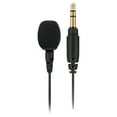 RODE Lavalier GO Professional Grade Wearable Microphone Black - Walmart.com