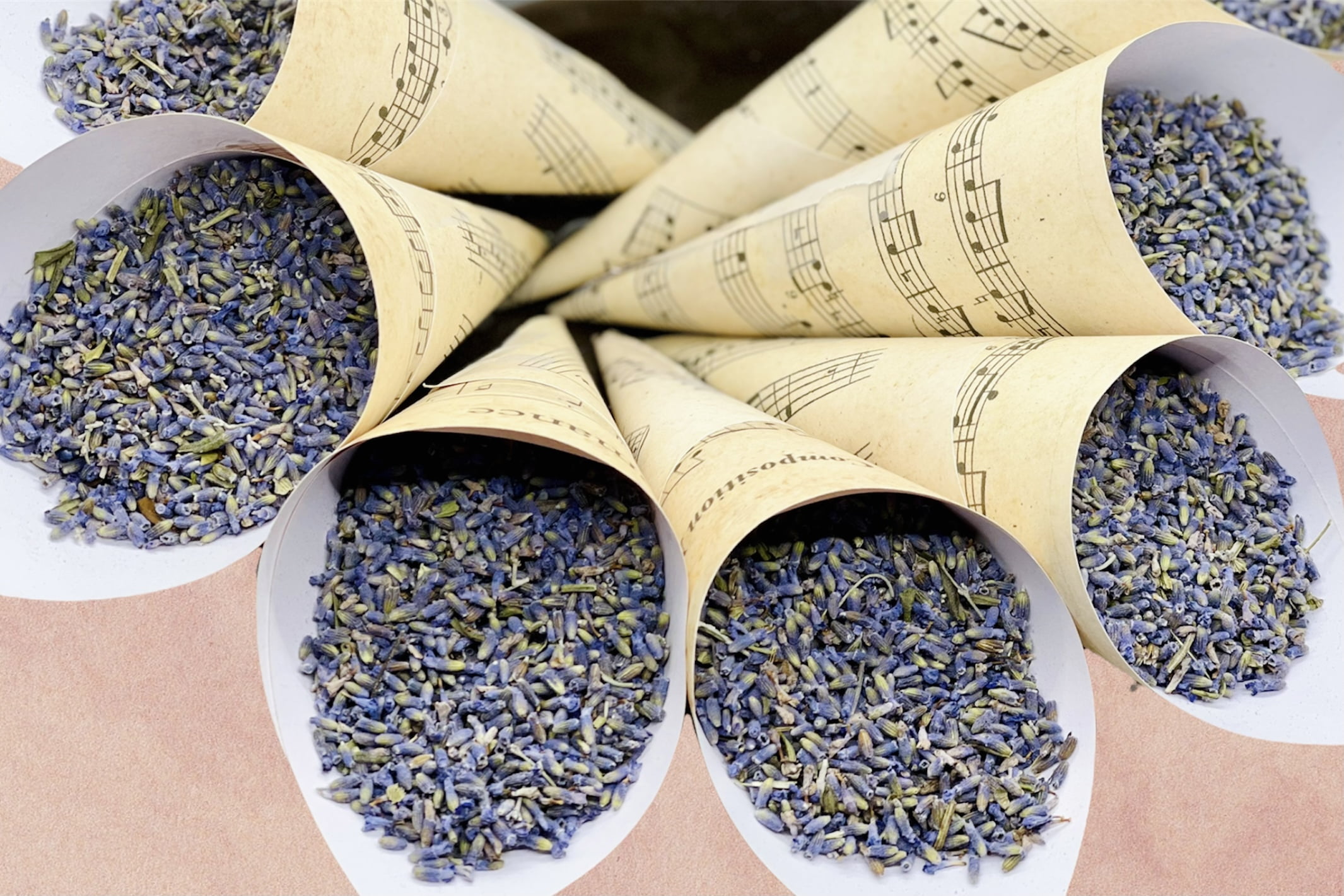 WEDDING CONFETTI TOSS 100 Cones Kit | Vintage Music Sheet Cones ...