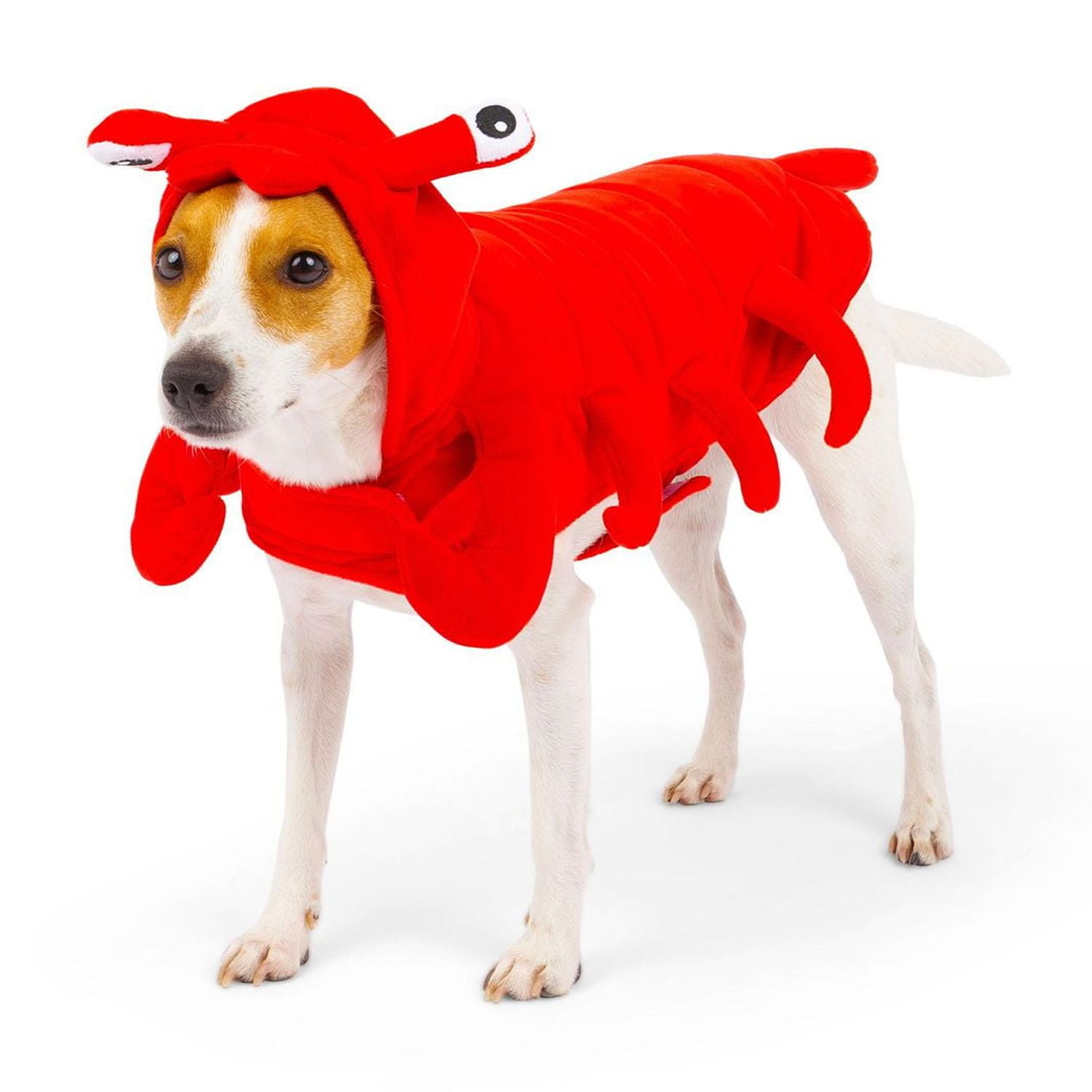 One Paw, Lobster Dog Costume, Halloween, Lobster Dog Costume, Halloween ...