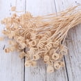 20Pcs Essential Oil Reeds Natural Rattan Double Spiral Design for Home ...