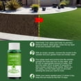 WINGKI Grass Spray Liquid, Lawn Seed Spray, Green Lawn Paint, 59ml ...
