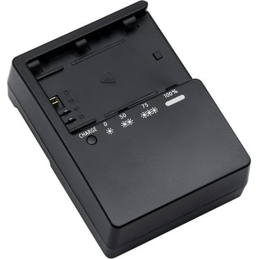 PD Charger Battery Charger Compatible with Alpha 7R IV 35 mm Full-Frame ...