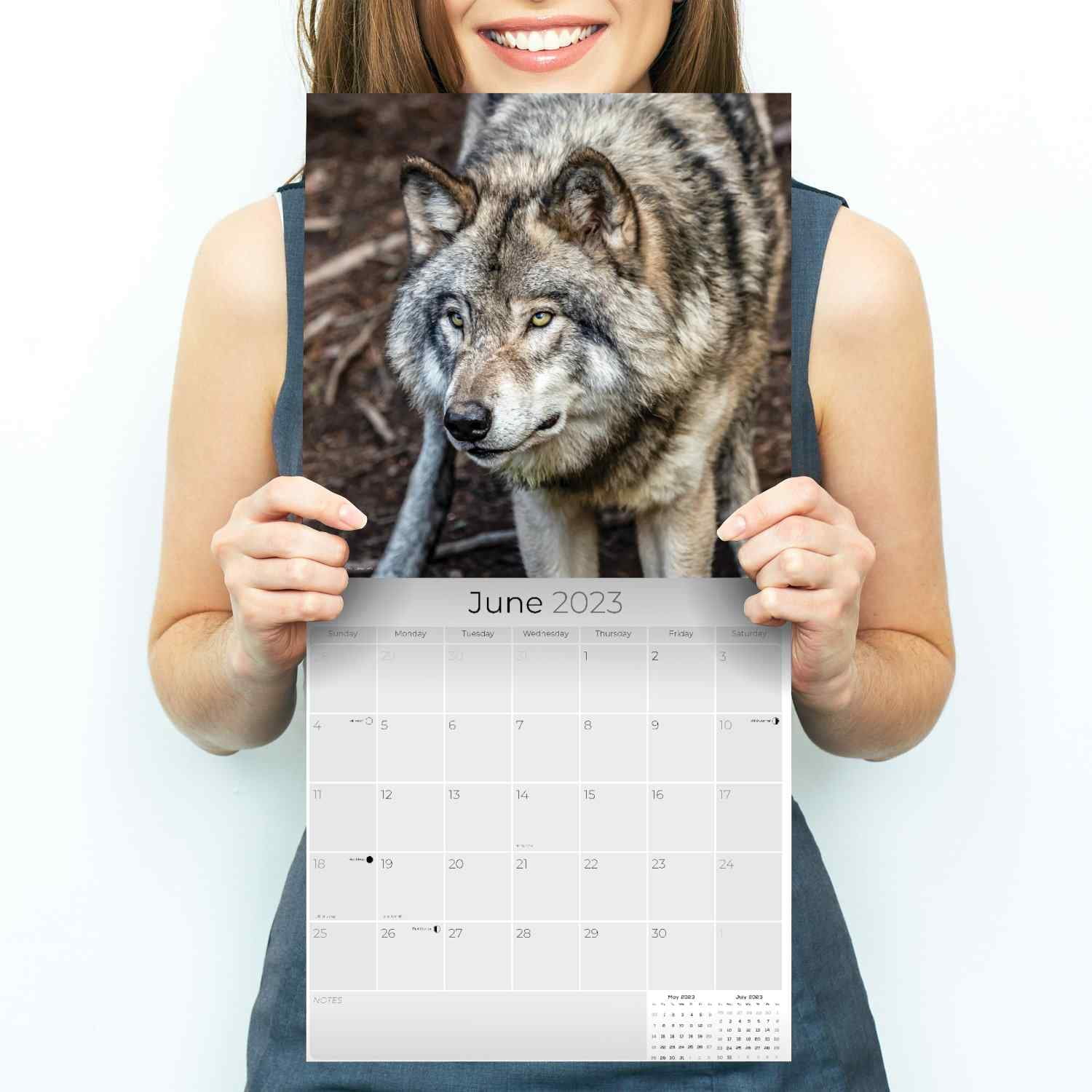 2022 2023 Wolves Calendar – Wildlife Monthly Wall Calendar – 12 x 24 ...