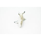 Shark, Black Tip Reef Shark, Museum Quality, Hand Painted, Rubber Fish ...