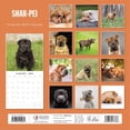 Red Robin 2025 Shar-Pei Wall Calendar, Premium Paper, Hangable 12 Month ...