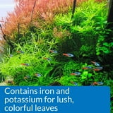 API Leaf Zone Promotes Aquarium Plant Growth [Aquarium Plant Food and ...
