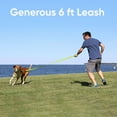 Pawtitas 6 FT Dog Leash Reflective Dog Leash Dog Training Leash Puppy ...