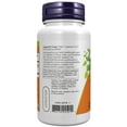 NOW Supplements, Andrographis Extract 400 mg (Standardized Extract), 90 ...