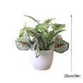 TUWAFE 2026 New 10.2” Artificial Bonsai in Green Grass Plastic Pot for ...
