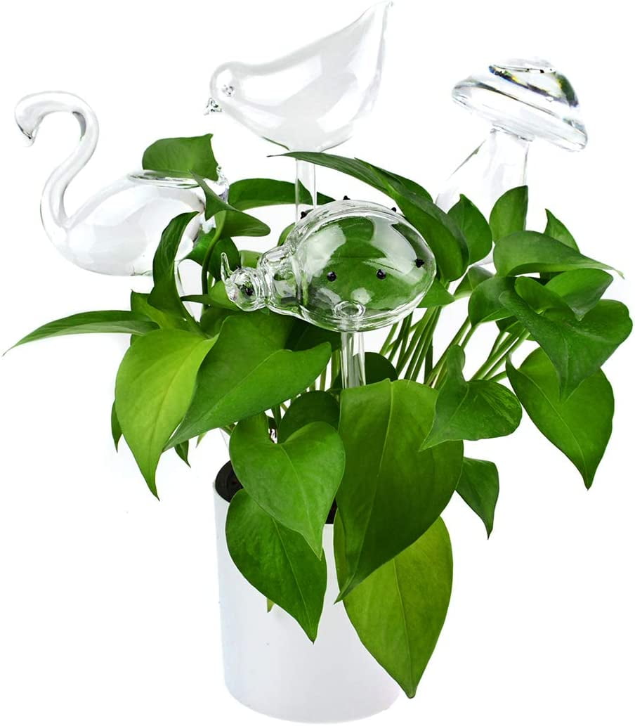 Rich 4 Pack Plant Waterer Self Watering Globes Clear Glass Automatic ...