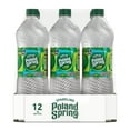 Poland Spring Sparkling Water, Zesty Lime, 33.8 oz. Bottles (Pack of 12) - Walmart.com