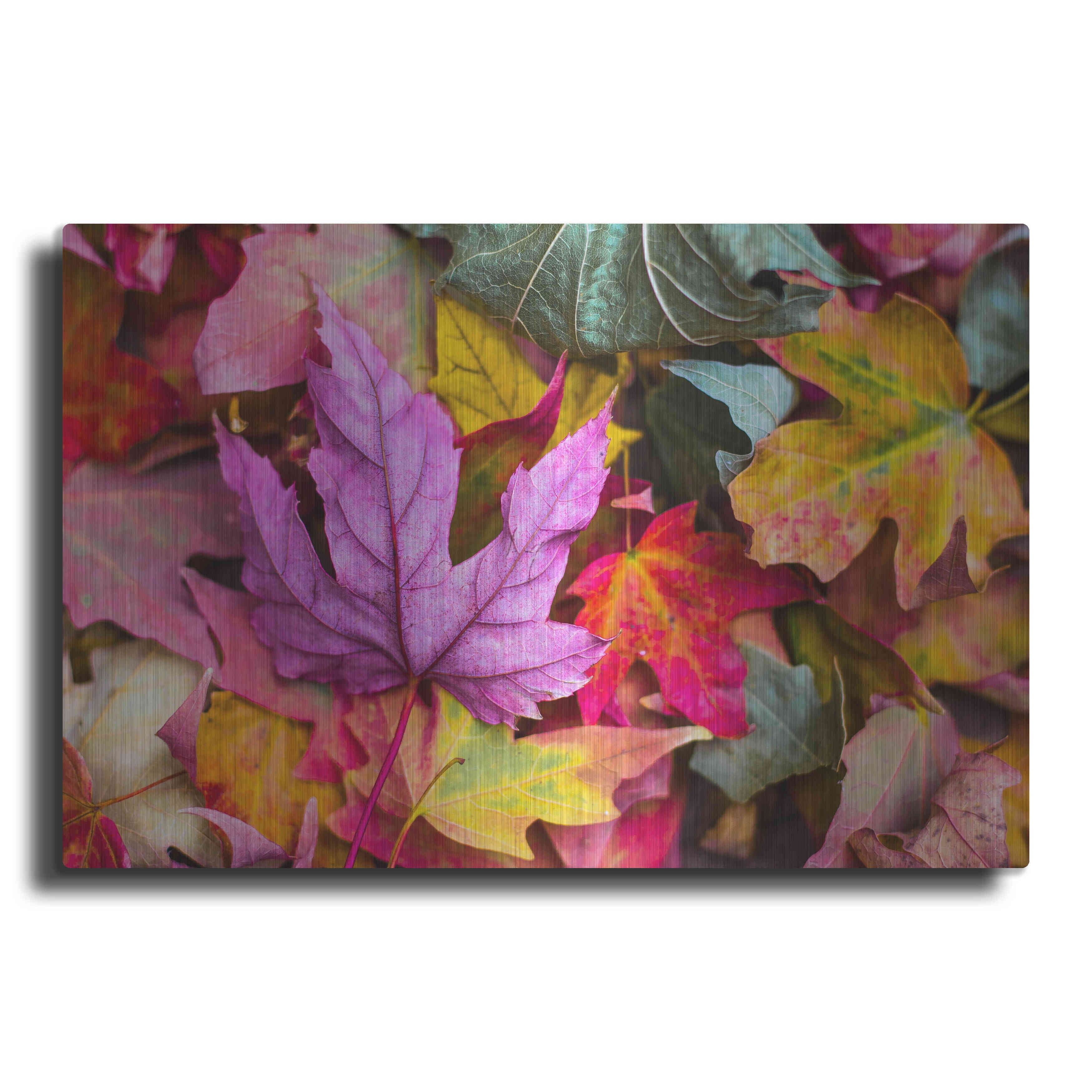 Luxe Metal Art 'Beautiful Fall' by Epic Portfolio, Metal Wall Art, 24 ...