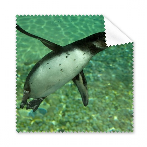 water southern penguin science nature picture cleaning cloth ph screen ...
