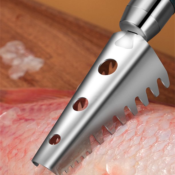 facefd Stainless Steel Fish Scaler Quick Scale Remover Seafood Fishbone ...