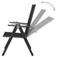 vidaXL Patio Folding Chairs Camping Garden Lawn Chair Aluminum and ...