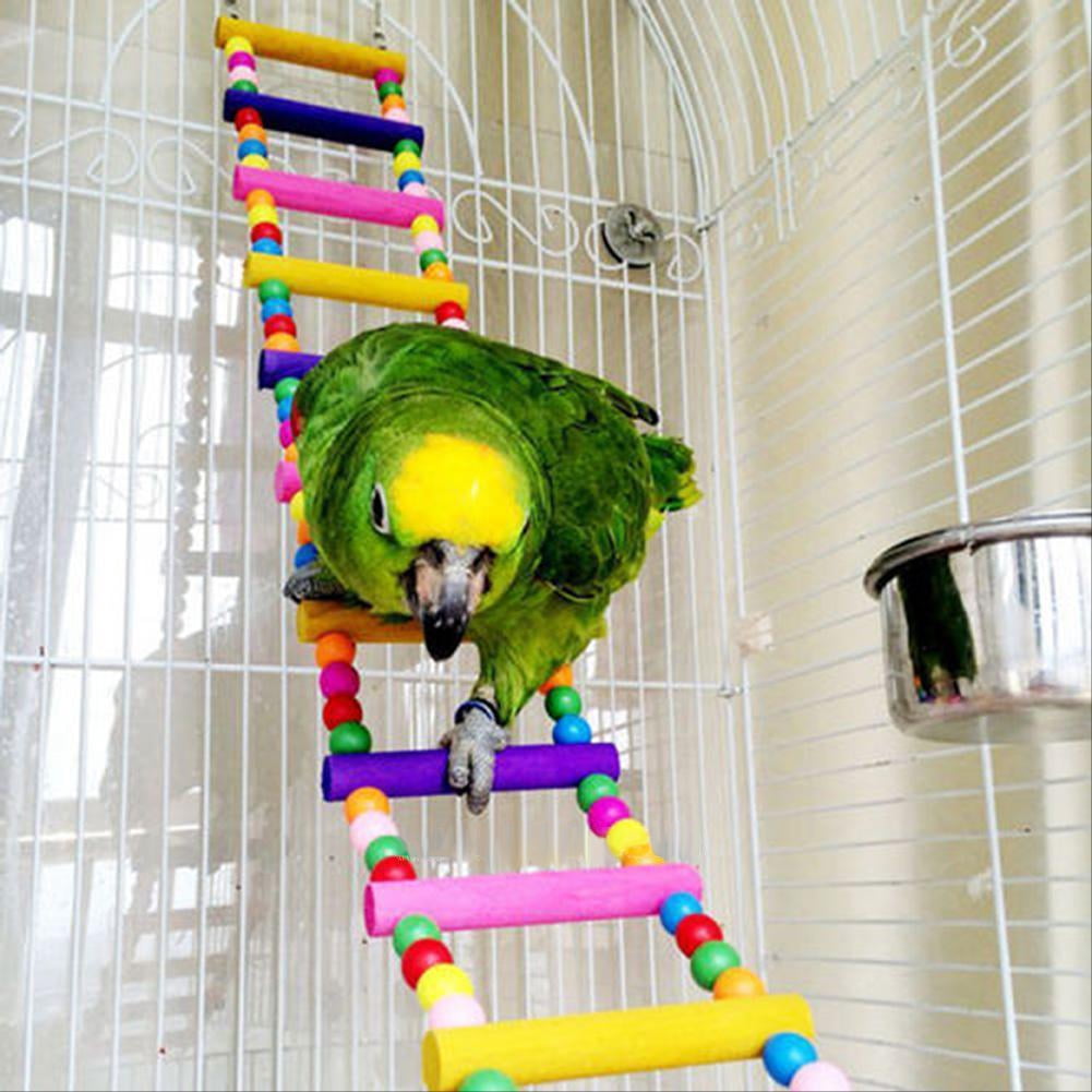 Click here for Eastvita Colourful Pet Climbing Ladder Biting Wood... prices