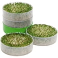 Kitchen Crop Deluxe Kitchen Seed Sprouter VKP1200 - Stackable Trays - 4 ...