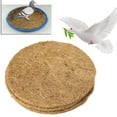 Grass Mat Breeding Nests Bird Eggs Mat Comfortable Bedding for Home ...