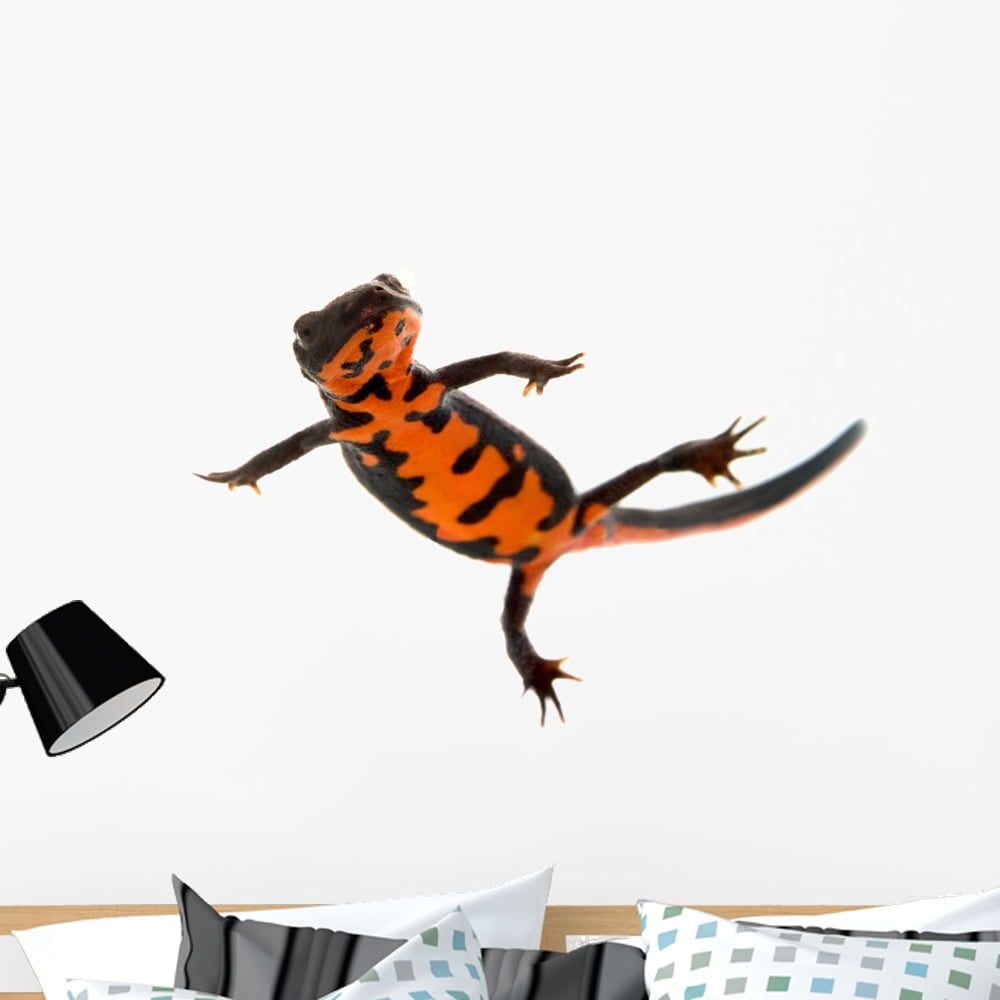 Swimming Fire Bellied Newt Wall Decal by Wallmonkeys Peel and Stick ...