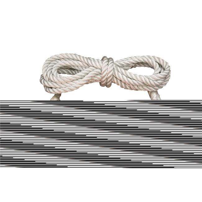 0.62 in. x 25 ft. Rope Lifeline | Walmart Canada